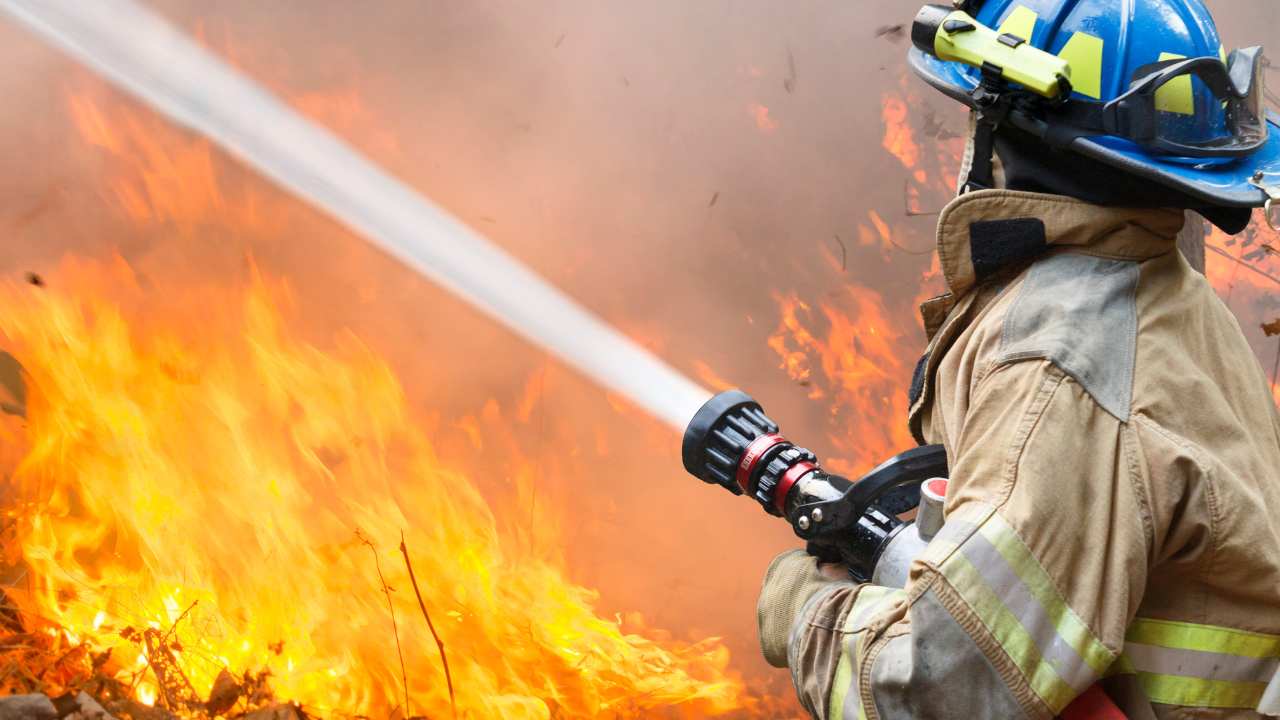 Presidente Daniel Noboa veta Ley de Defensa contra Incendios