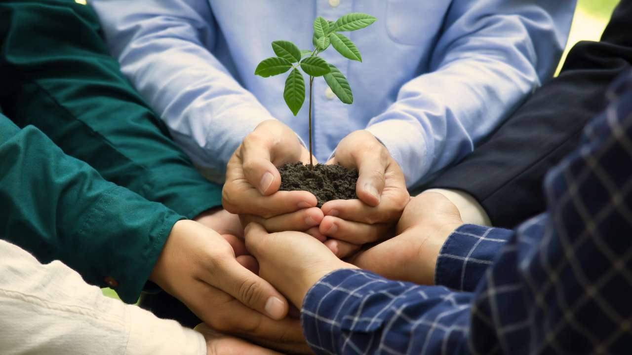 Ecuador avanza en un segundo canje de deuda por conservación ambiental Ecuador avanza en un segundo canje de deuda por conservación ambiental