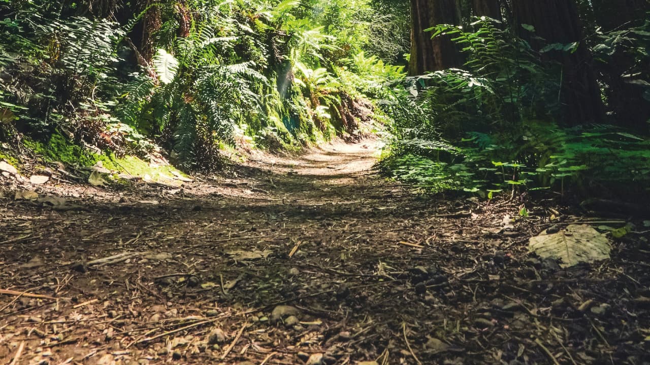 El Tapón del Darién: la ruta mortal de miles de ecuatorianos para ...