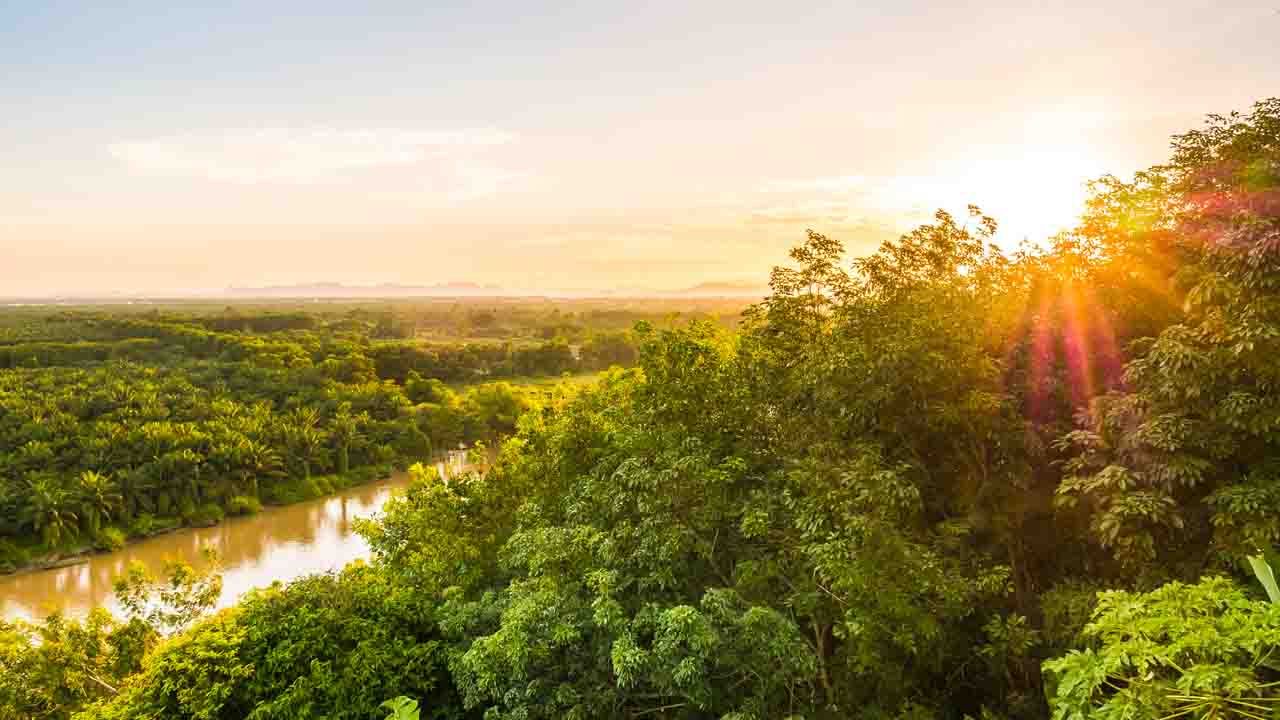 Relator de la ONU presenta escrito ante la Corte Constitucional por la ...